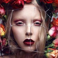 Top Model Agencies | 250+ International Model Agencies | ModelScouts