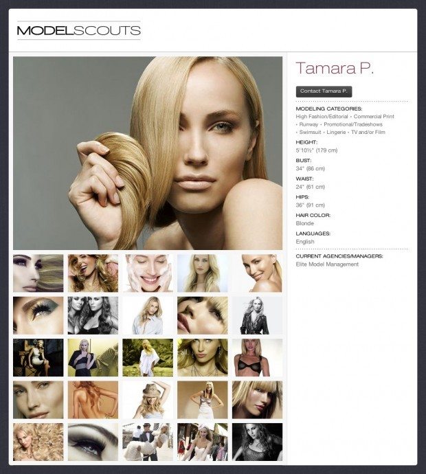 Modeling Resumes How To Prepare A Modeling Resume ModelScouts